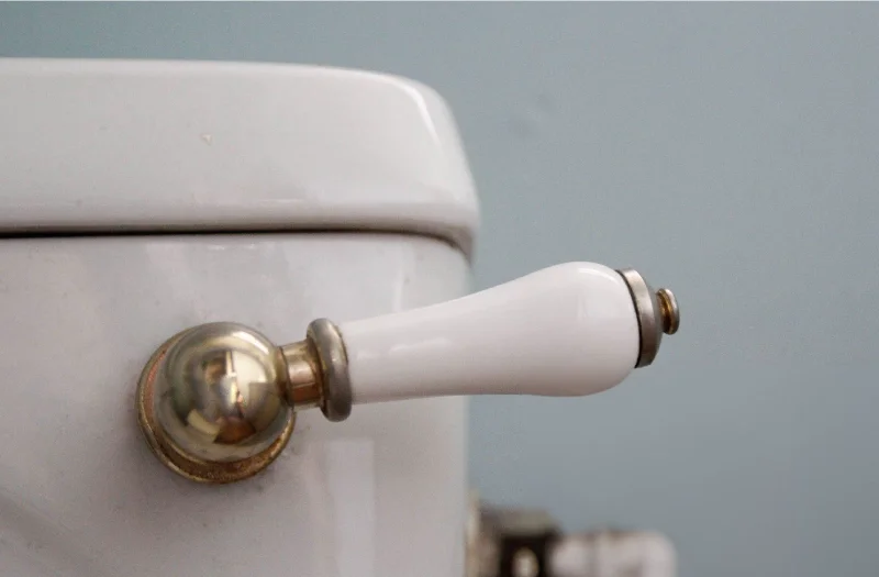 Toilet Not Flushing? Expert Repairs in London